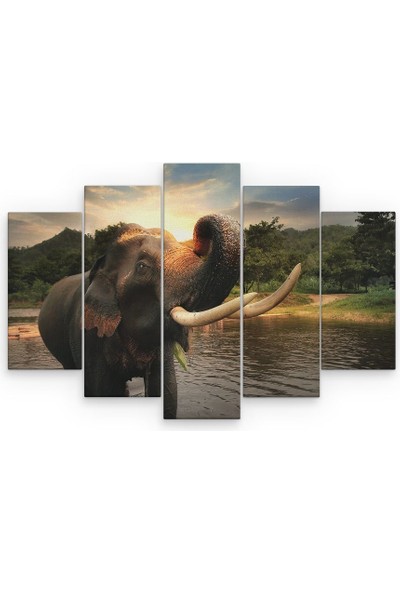 Hero Tasarım Fil Tayland 5 Parça Mdf TABLOTGTB555