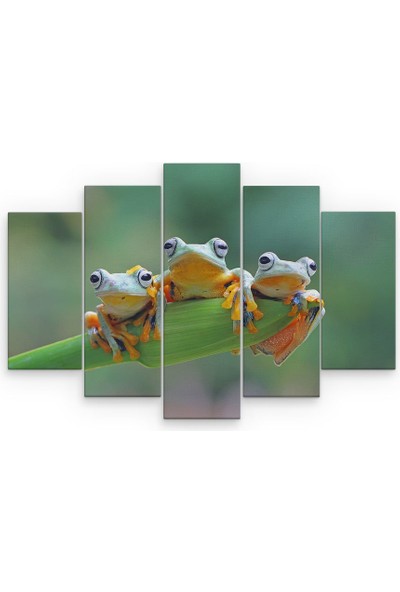 Hero Tasarım Ağaç Kurbağası 5 Parça Mdf TABLOTGTB445