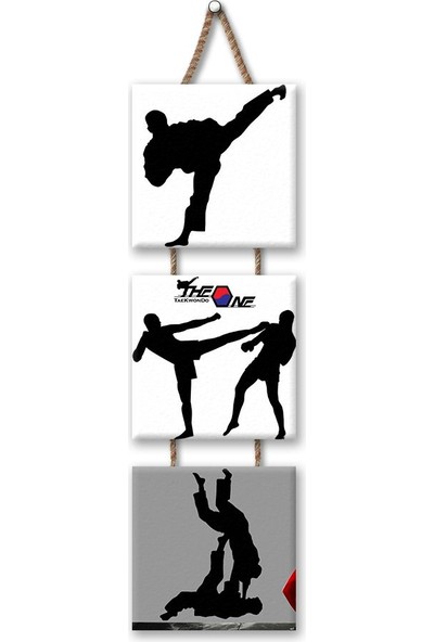 Hero Tasarım Tekvando 3 Parça Ipli Mdf TABLOTLH1106