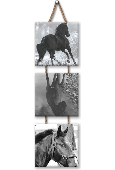 Hero Tasarım At 3 Parça Ipli Mdf TABLOTLH2634