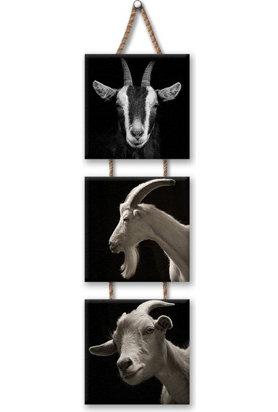 Hero Tasarım Keçi 3 Parça Ipli Mdf TABLOTLH1051