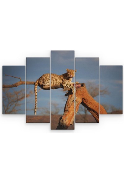 Hero Tasarım Leopar 5 Parça Mdf TABLOTGTB240