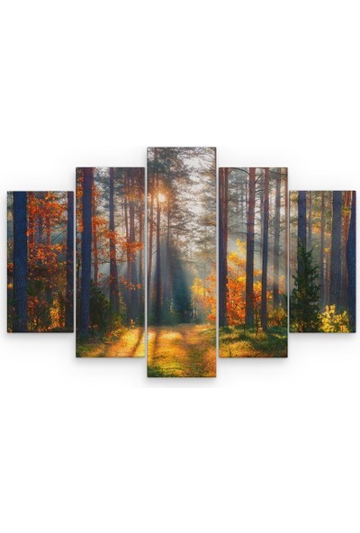 Hero Tasarım Doğa 5 Parça Mdf TABLOTGTB1123