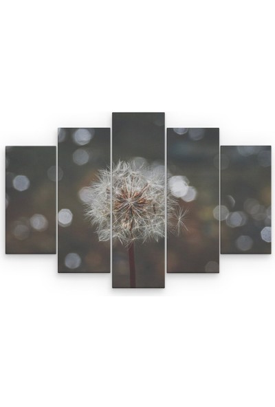 Hero Tasarım Pamuk 5 Parça Mdf TABLONHL530