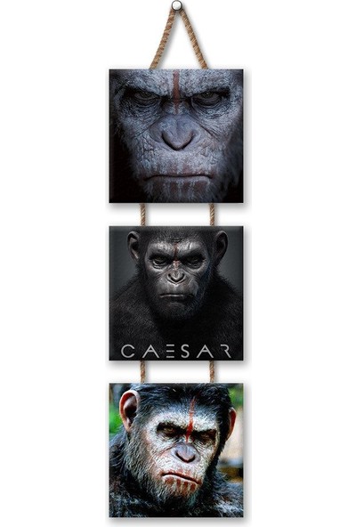 Hero Tasarım Maymunlar Cehennemi 3 Parça Ipli Mdf TABLOTLH1072