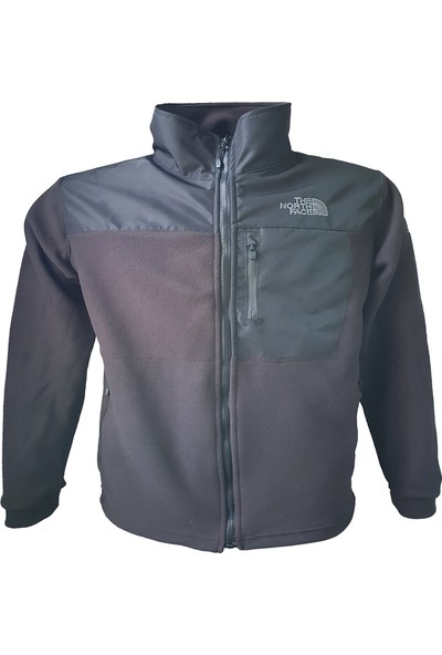 The North Face Erkek Polar Mont
