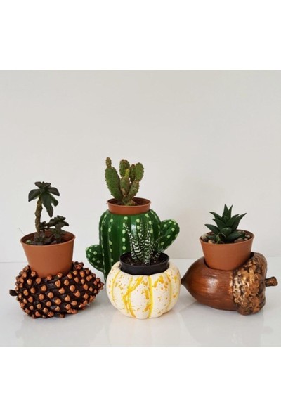 Mobgift 4'lü Set Kozalak + Kaktüs + Kabak + Fındık Tasarım Saksı Mobgift 4'lü Set Kozalak + Kaktüs + Kabak + Fındık Tasarım Saksı