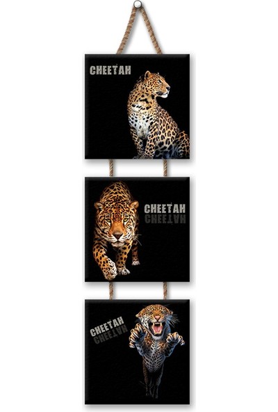 Çıta 3 Parça Ipli Mdf TABLOTLH1022