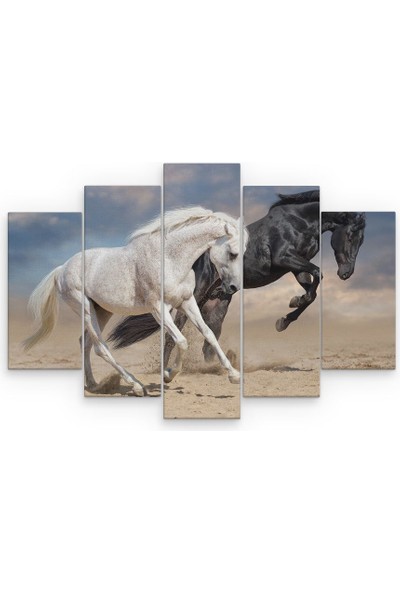Çölde Siyah ve Beyaz At 5 Parça Mdf TABLOTGTB765