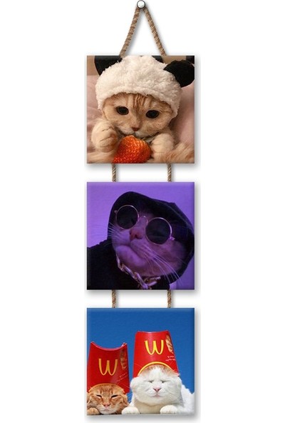 Kedi 3 Parça Ipli Mdf TABLOTLH2623