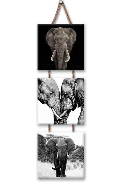 Fil 3 Parça Ipli Mdf TABLOTLH1025