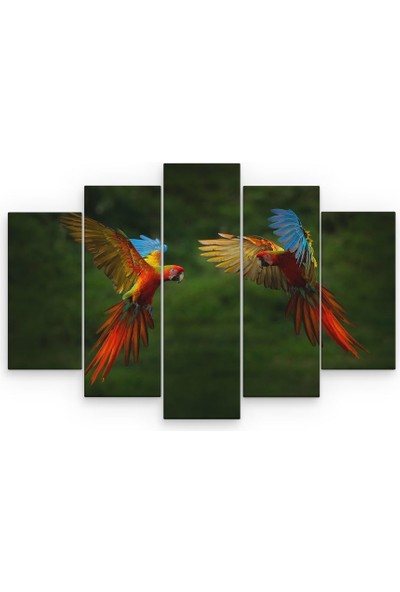 Melez Papağanlar 5 Parça Mdf TABLOTGTB464