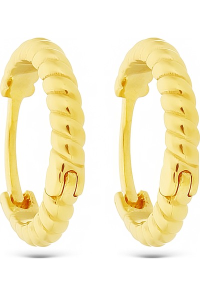 14 Ayar Altın Burgu Küpe