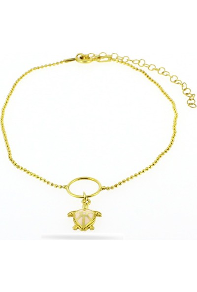 Shemora Turtle Glow Halhal Shemora Turtle Glow Halhal