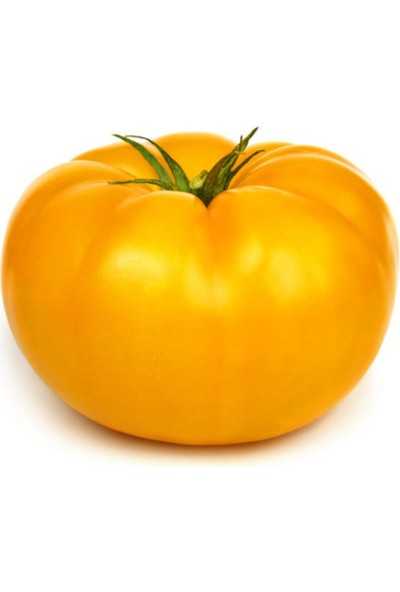 Tohum Dünyam Nadir Dev Italyan Sarı Pileli Domates Tohumu 5 Tohum Tohum Dünyam Nadir Dev Italyan Sarı Pileli Domates Tohumu 5 Tohum