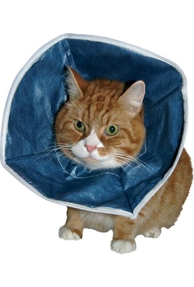 Kruuse Buster Kedi Yakalığı