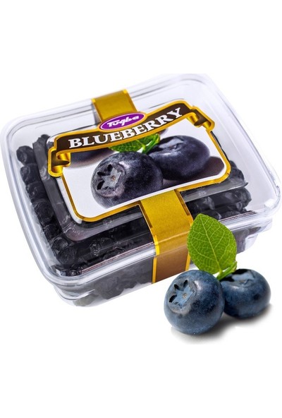 Tuğba Kuruyemiş Blueberry Kurusu 95 gr