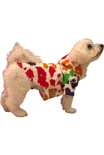 Barfandgo Gökkuşağı Köpek Ceketi Yeşil - Beyaz