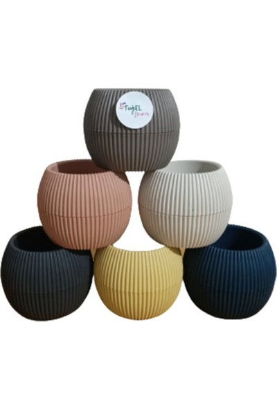 Tuğel Flowers 6 Adet Karışık Renkli Plastik Mercan Saksı No:1 (Mini Boy-Kaktüs Saksısı-0.15 Litre) Tuğel Flowers 6 Adet Karışık Renkli Plastik Mercan Saksı No:1 (Mini Boy-Kaktüs Saksısı-0.15 Litre)