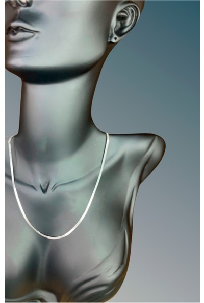 Last Gem Bender Gümüş Ithal Çelik Ince Italyan Zincir Kolye Last Gem Bender Gümüş Ithal Çelik Ince Italyan Zincir Kolye