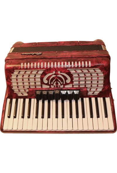 Palatino Akordiyon 96BASS