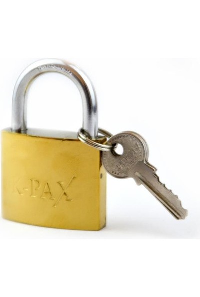 Tedarik Yolu Darbeye Dayanıklı Asma Kilit 50mm Tedarik Yolu Darbeye Dayanıklı Asma Kilit 50mm