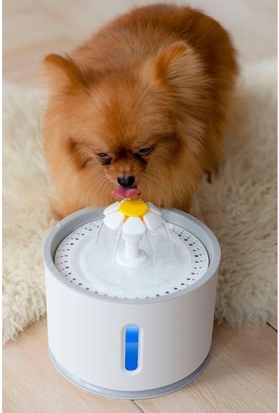 Kamardey Pet Kedi Köpek Için Otamatik Su Pınarı Su Çeşmesi Su Sebili 2.4 Lt USB ile Çalışır