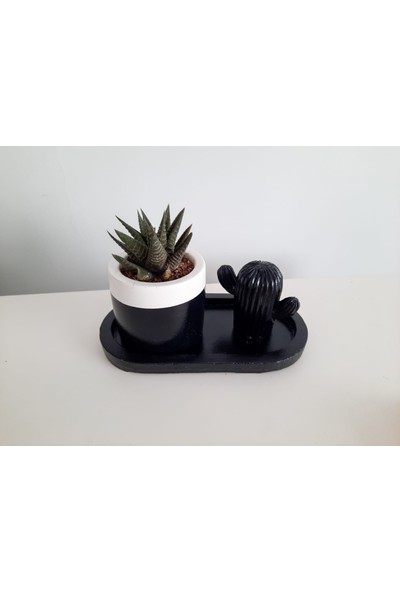 Silindir Saksılı Kaktüs Biblolu Dekoratif Set
