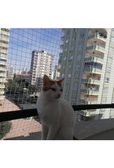 Konak File Kedi Filesi Balkon Çocuk Güvenlik Filesi Konak File Kedi Filesi Balkon Çocuk Güvenlik Filesi