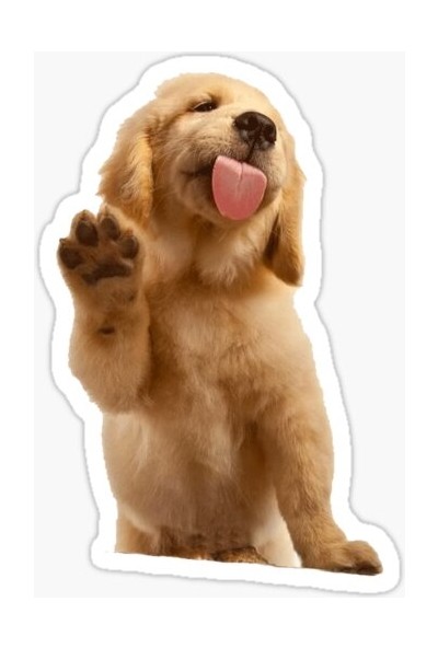 Golden Yavrusu Köpek Sticker Araba Oto Yapıştırması 17CM G1 Golden Yavrusu Köpek Sticker Araba Oto Yapıştırması 17CM G1