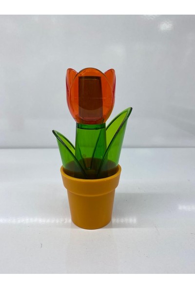 Herevin Lale Desenli 3'lü Tuzluk