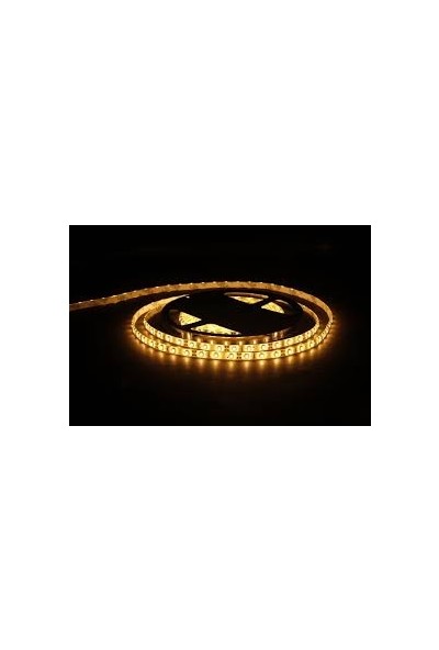 CT-4488 10ç Dış Mekan G.ışığı LED Şerit(5 Mt) Cata CT-4488 10ç Dış Mekan G.ışığı LED Şerit(5 Mt) Cata