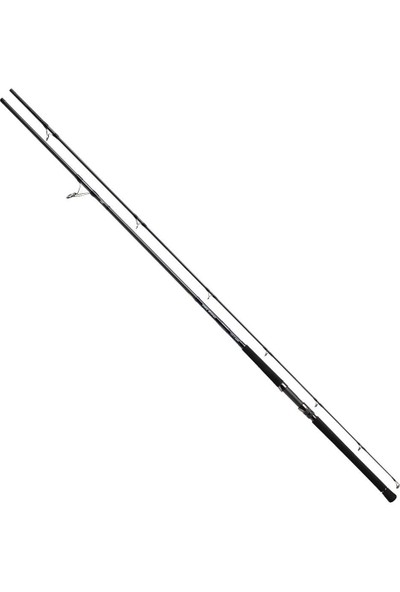 Daiwa Shore Spartan Coastal 2.90M 40-120GR 2p Shore Jig Olta Kamışı