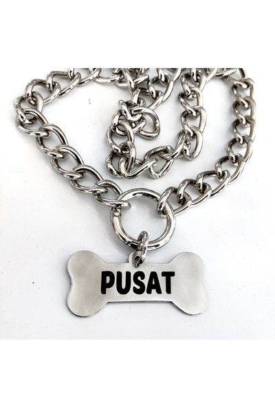 Ayz Zincirli Köpek Künyesi, Köpek Tasması, Isme Özel Künye Ayz Zincirli Köpek Künyesi, Köpek Tasması, Isme Özel Künye