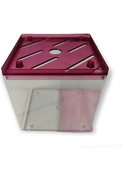 Hanımelipetstore Mini Mika Beta Fanusu 8X8X8CM 2ADET