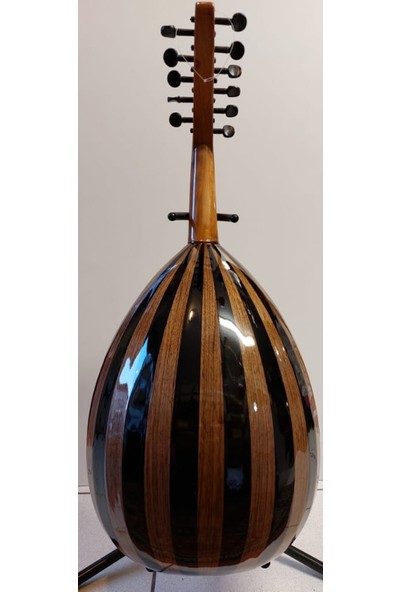 Kaliteli Jak Girişli Ceviz Ud