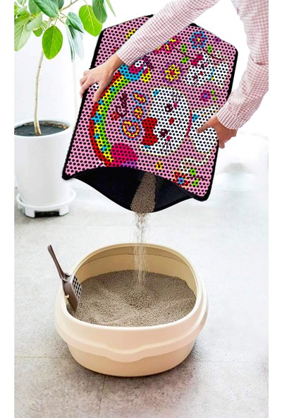 Carpetya Kedi Kumu Paspası Baskılı