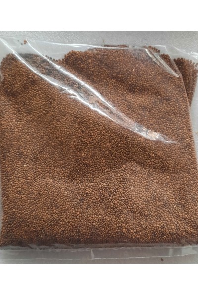 Tere Tohumu 250 Gram Ilaçsızdır Tere Tohumu 250 Gram Ilaçsızdır