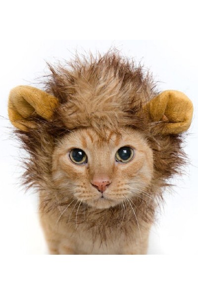 World of Pets Kedi Aslan Yelesi Peruk World of Pets Kedi Aslan Yelesi Peruk