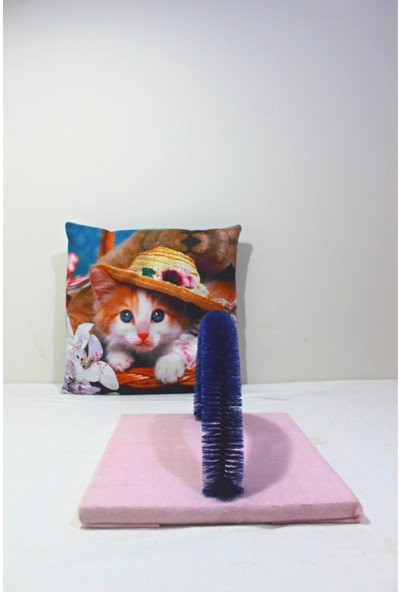 Tasy Pet Şık Tasarımlı Kedi Kaşınma Tahtası Mavi