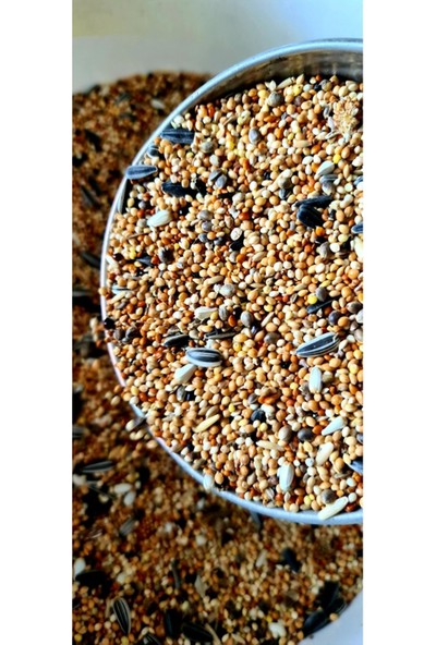 Ankara Yem Evim Forpus Sultan Cennet Sevda Papağanı Yemi 500 gr Ankara Yem Evim Forpus Sultan Cennet Sevda Papağanı Yemi 500 gr