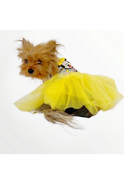 Kemique Sarı Sevimli Fare Tütülü Köpek Elbisesi, Kıyafeti Tutu Kemique Sarı Sevimli Fare Tütülü Köpek Elbisesi, Kıyafeti Tutu