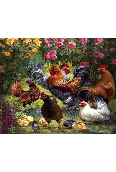 Hobi Tedarik Bahçedeki Kümes Çerçeveli 40X50 Sayılarla Boyama Hobi Seti Hobi Tedarik Bahçedeki Kümes Çerçeveli 40X50 Sayılarla Boyama Hobi Seti