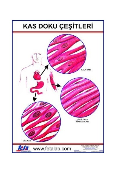 Edulab Kas Doku Eğitim Plakası