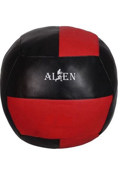 Alen Deri Sağlık Topu Crossfit FITTNES8KG