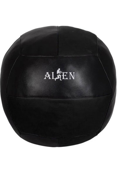 Alen Deri Sağlık Topu Crossfit Fittnes 12KG