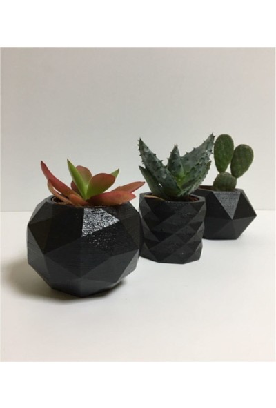 Isem 3'lü Siyah Renk Beton Sukulent ve Kaktüs Saksı Seti Isem 3'lü Siyah Renk Beton Sukulent ve Kaktüs Saksı Seti