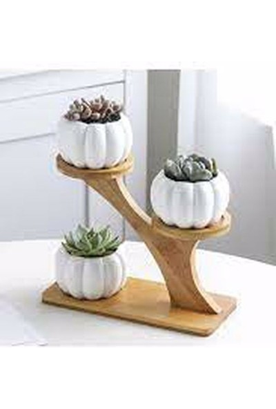 Isem 3 Lü Dekoratif Kabak Saksı