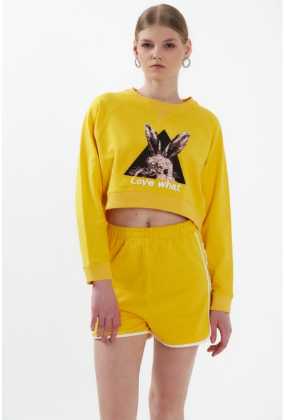 Westbrand Tavşan Baskılı Yazı Nakışlı Şortlu T-Shirt Takım