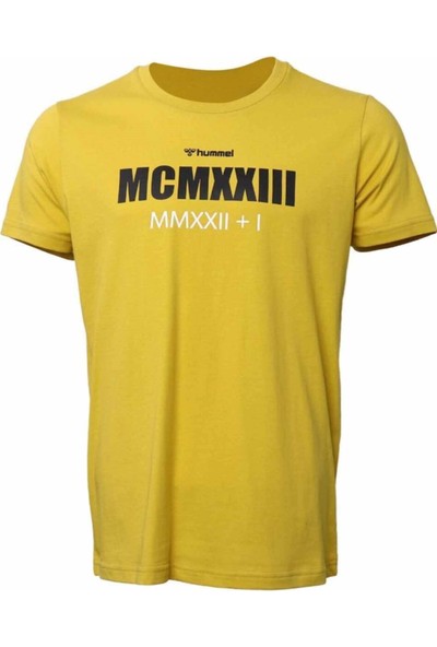 Hummel Naesten T-Shirt Erkek Tişört 911523-2119CHATEAU gr